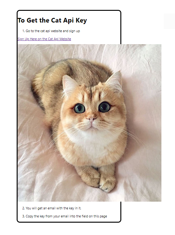 Rendering markdown and resizing images with React-Markdown | Jacob ... Rendering markdown and resizing images with React-Markdown | Jacob ...